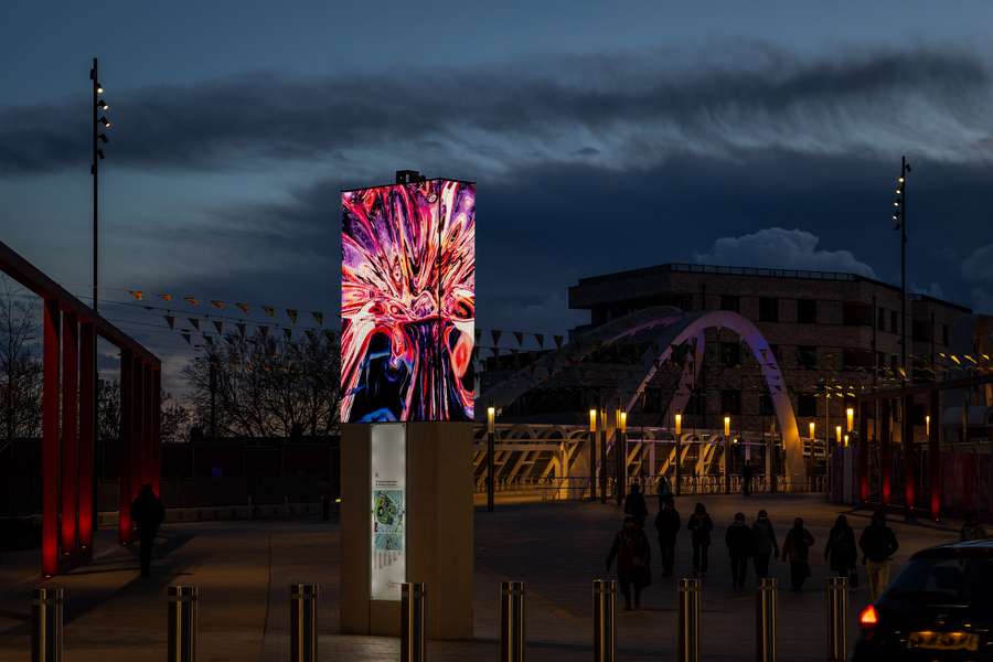 Jelly Experiments Series by Lucy Hardcastle