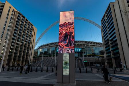 Jelly Experiments Series by Lucy Hardcastle