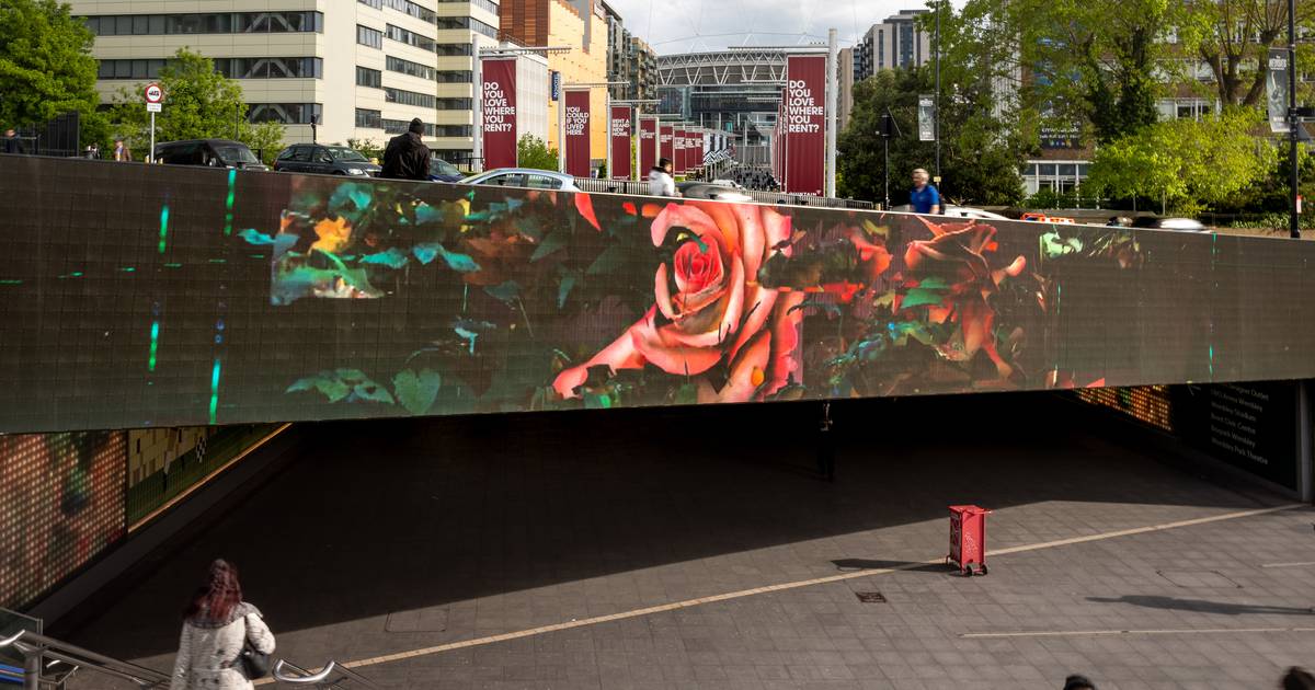 Floralia by Sabrina Ratte