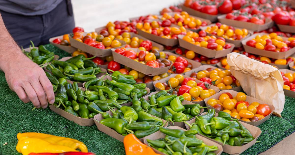 Wembley Park Market | Attractions - Visitor Guide
