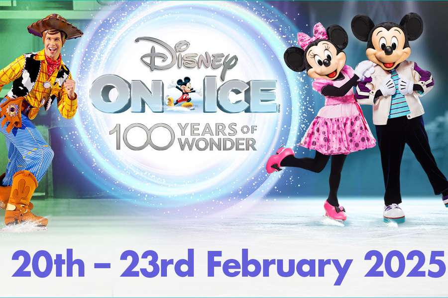 Walt Disney World On Ice Poster New Timon And Pumbaa Annual Passholder