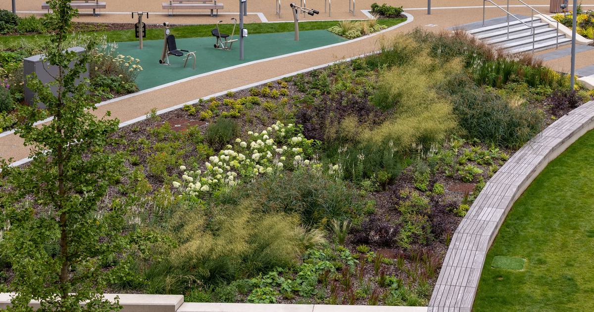 Green Spaces - Guide - Across the estate, Wembley Park has