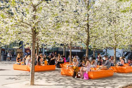 Guide to Lana del Rey's at Wembley Stadium - Updated 2025