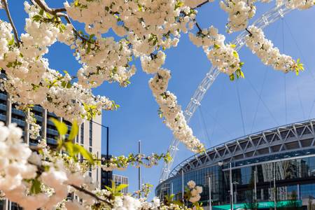 Wembley Stadium | Football, Events & Tours | Wembley Park